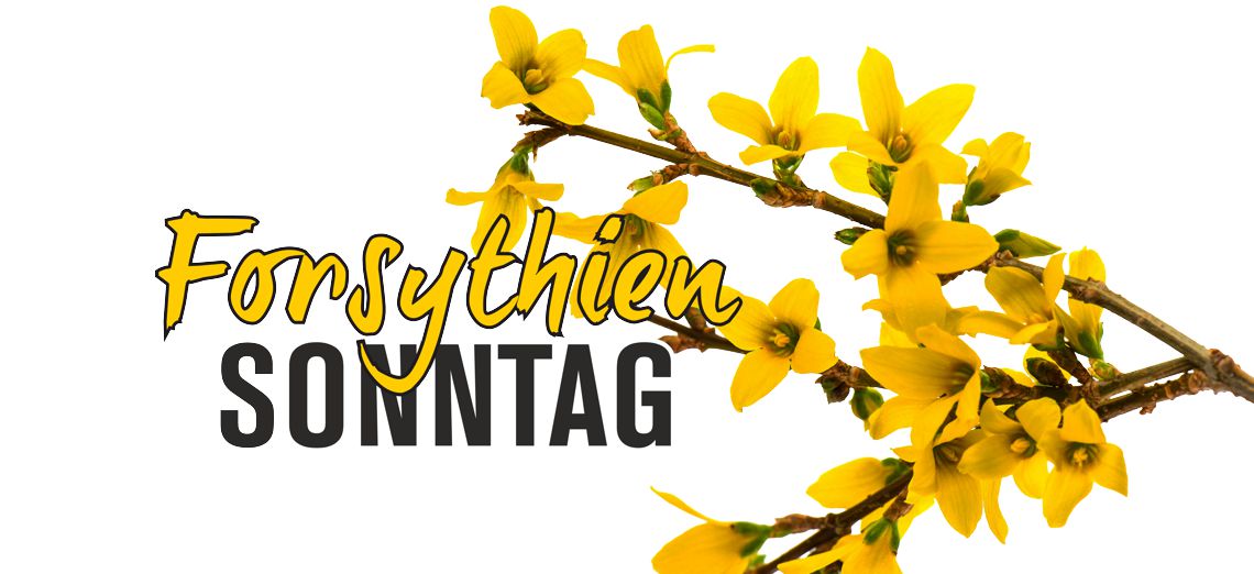 Hell over Halen e. V.